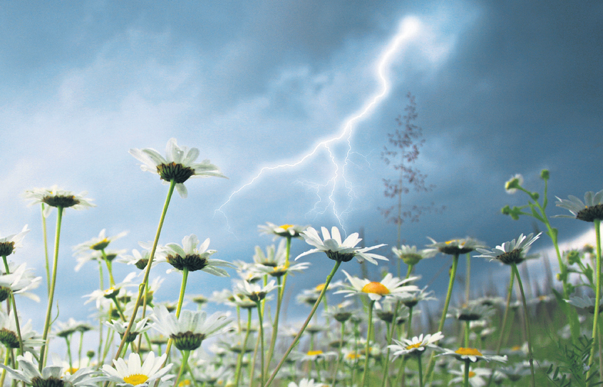 Wrath and mercy gospel | Evangelicals Now