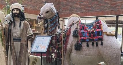 Calver and camel inspire | Evangelicals Now